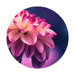 geo.metrix - 图标指针 - 致美化